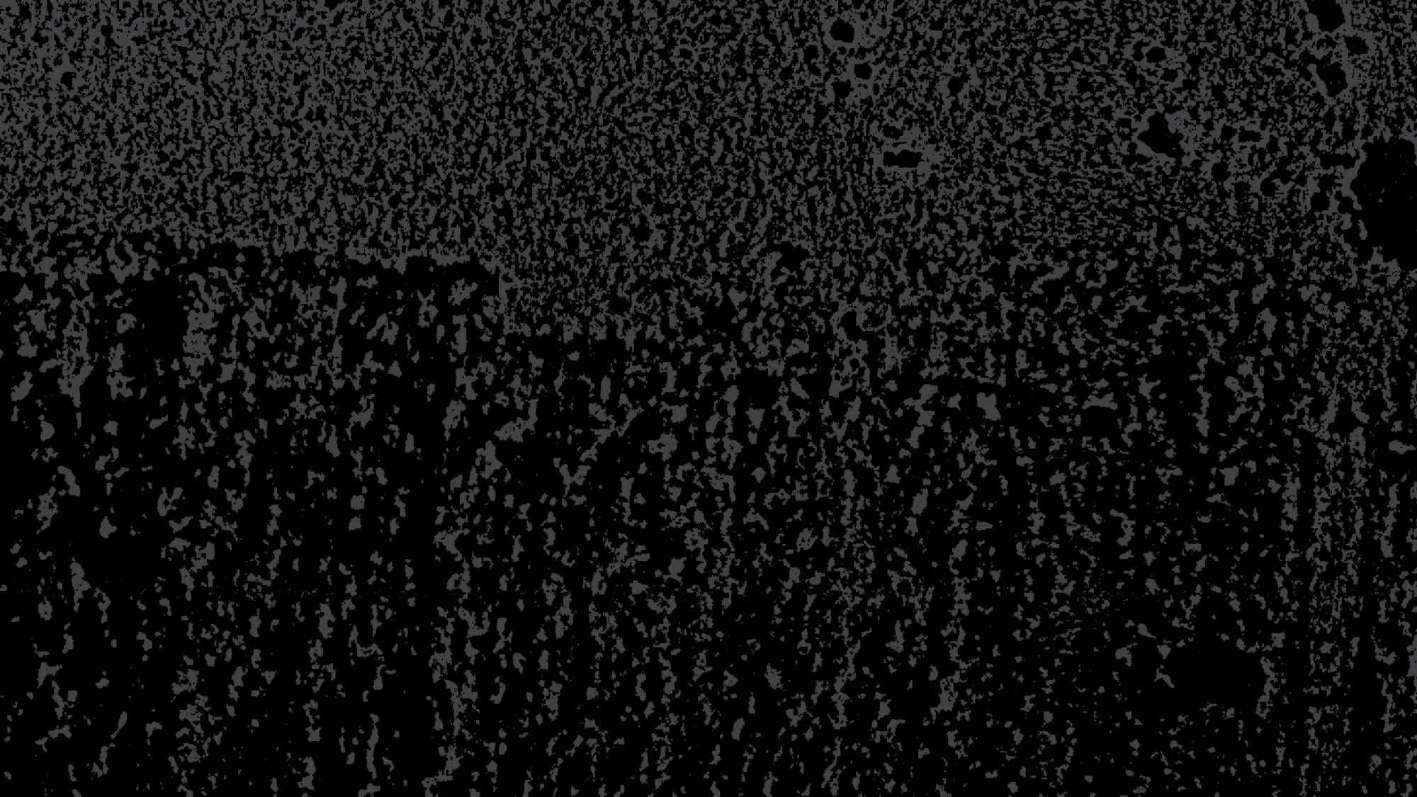 Bf Assets The Quiet Lifethe Quiet Life